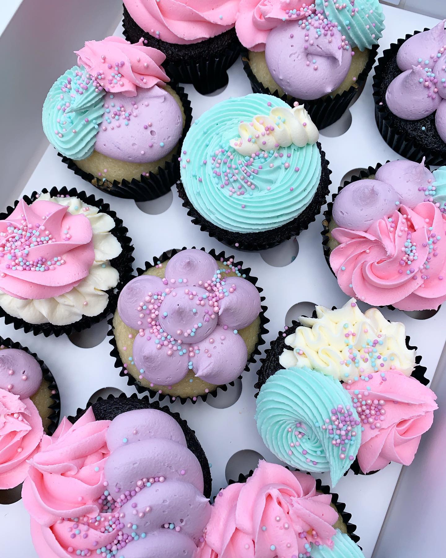 Collections – Little Sprinkle Co.